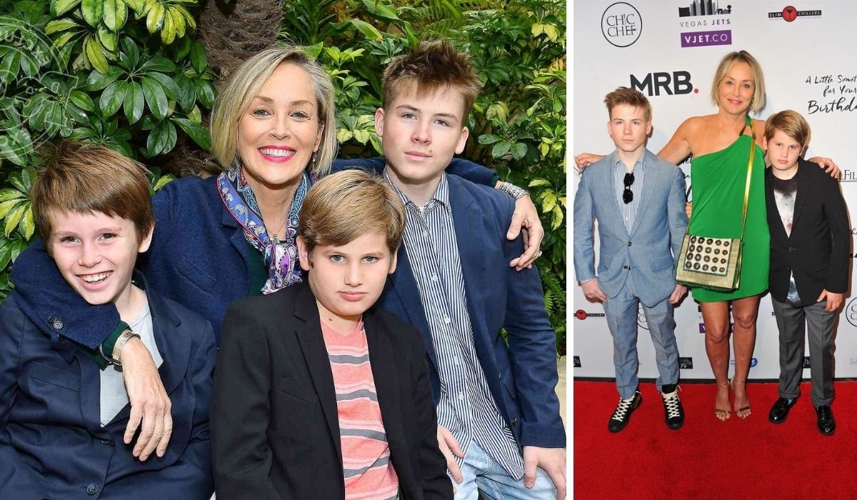 A Comprehensive Guide to Quinn Kelly Stone: Sharon Stone’s Youngest Son ...